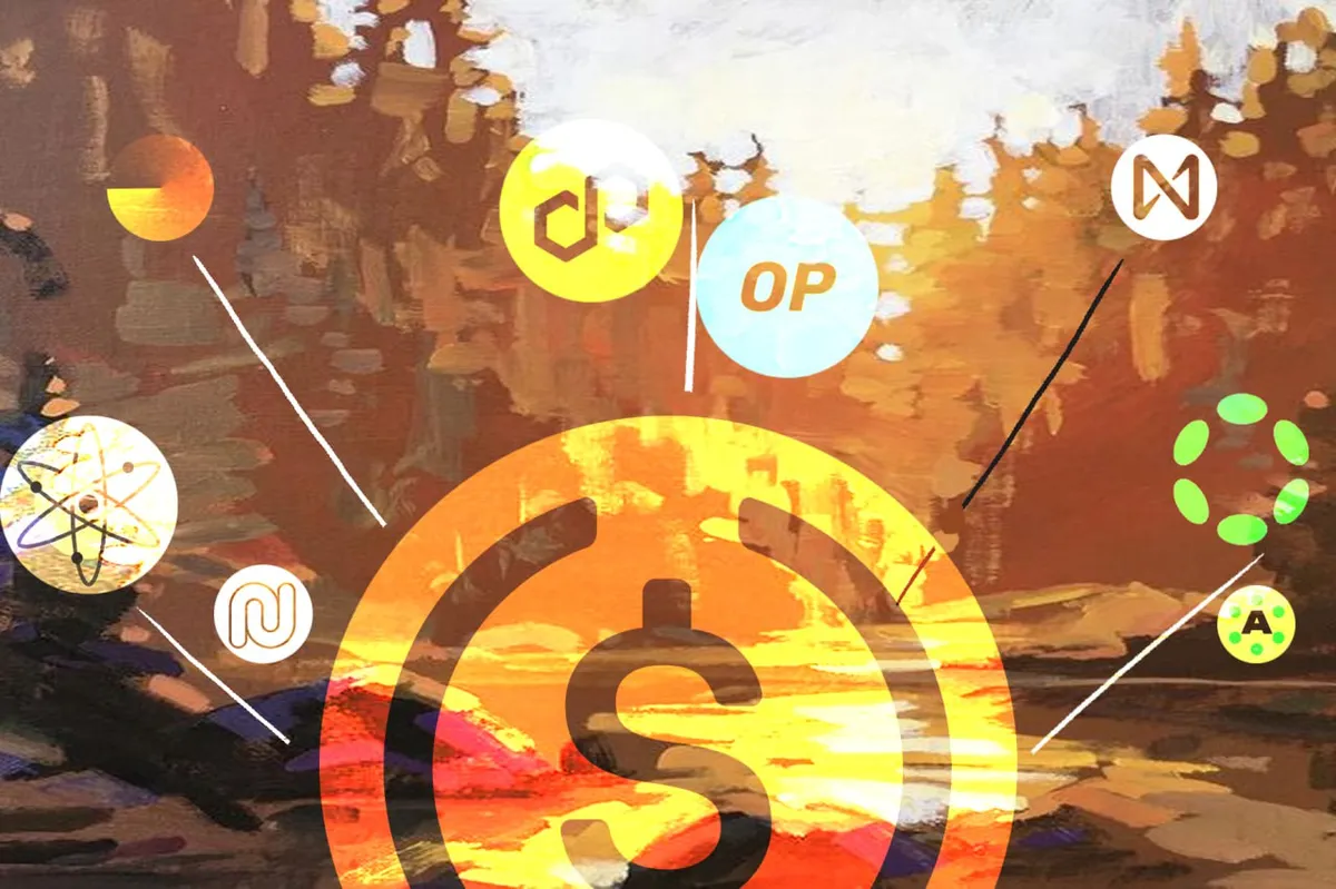 Stable September. Circle's USDC Stablecoin Connects Blockchains | Observers
